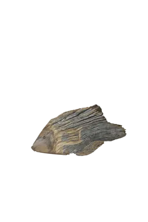 Botanical Boys Driftwood Hand Carved Fish Thirteen One - Brown