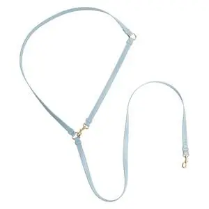 ALECOO Classy Dog Leash Adjustable Ice Gold - Blue
