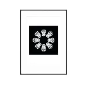 Curiosity Snug Curious Creatures Series Chimp Daisy Print - Black
