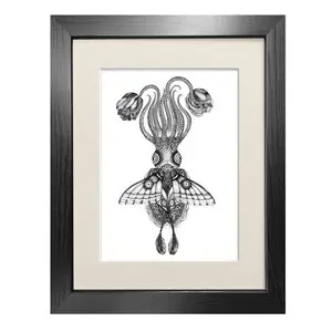 EMILY CARTER Tethidadoptera' Fine Art Print A5 - Black