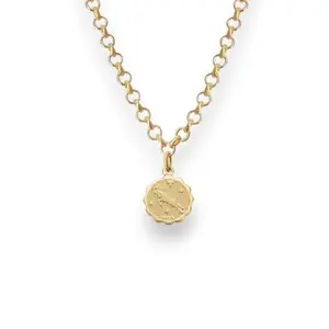 ALEXIE OF ATHENS Aries Zodiac Mini Medallion Chain Necklace - Gold