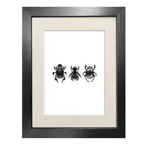 EMILY CARTER Dung Beetles' Fine Art Print A3 - Black