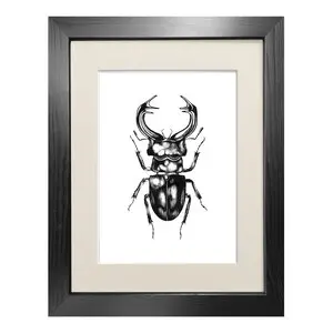 EMILY CARTER The Stag Beetle' Fine Art Print A5 - Black