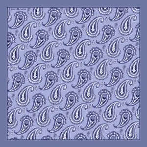 EMILY CARTER The Paisley Pocket Square Grey - Blue