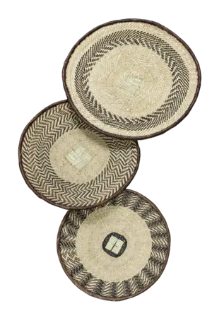 Botanical Boys Neutrals / Tonga Basket Collection Ninety Two - Brown