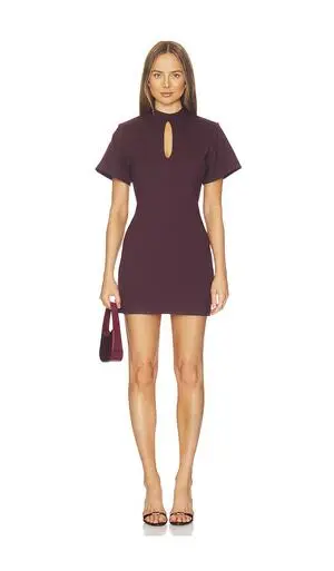 Steve Madden Karlina Dress In Fudge In . Also - Purple