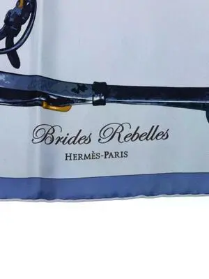 Hermès 2000-2026 Brides Rebelles Silk Scarf 90 Scarves - Blue