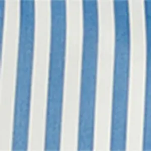 Max Mara Stripe Cropped Shirt