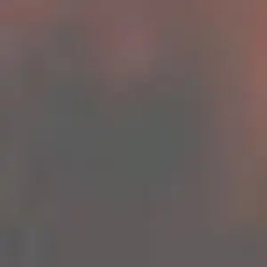 Persol Acetate Rounded Square Sunglasses