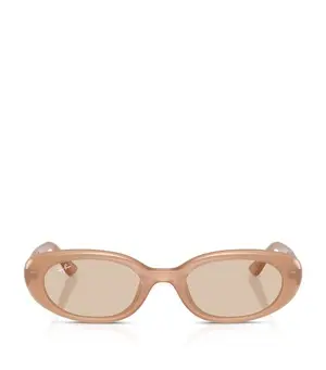 Ray-ban Injected Oval Sunglasses - Brown