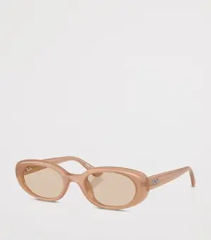 Ray-ban Injected Oval Sunglasses
