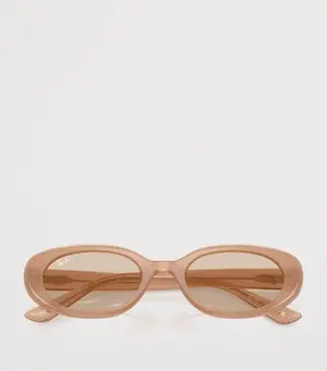 Ray-ban Injected Oval Sunglasses