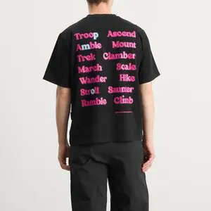 PURPLE MOUNTAIN OBSERVATORY Ascend T-shirt