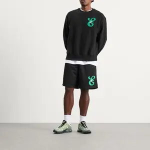 Champion For E End. Crew Sweatshirt 'emerald