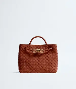 Bottega Veneta Small Andiamo - Rust