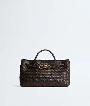 Bottega Veneta East-west Andiamo Top Handle Bag - Fondant