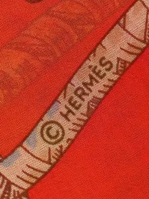 Hermès 2010s Grands Fonds Scarf