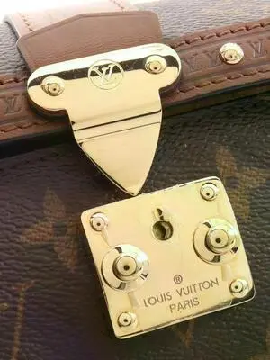 LOUIS VUITTON 2010s Monogram Papillon Trunk 2-way Tote Bag