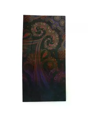 Etro Paisley-print Shawl - Green