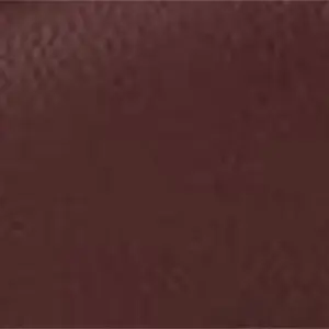 ALLSAINTS Leather Rosalie Airpods Case - Red