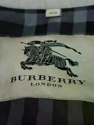 Burberry Harrington Jacket