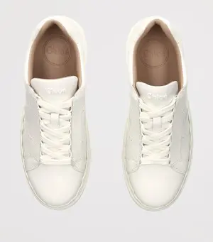 Chloé Leather Lauren Sneakers