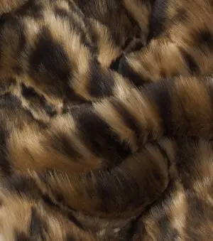 Etro Leopard-print Scarf