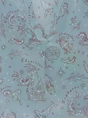 Momoni Astrological-print V-neck Blouse