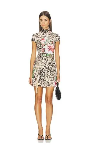 Roberto Cavalli Dress In . Also - Multi