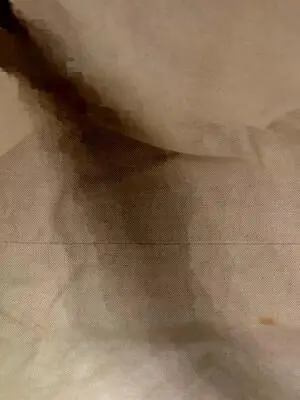 Gucci Gg Canvas Bella Tote Bag