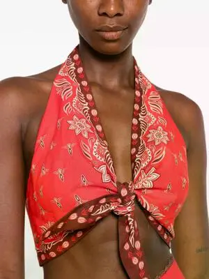 Farm Rio Ainika Floral-print Halterneck Cropped Blouse