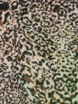 Faliero Sarti Maky Leopard-print Cashmere Scarf