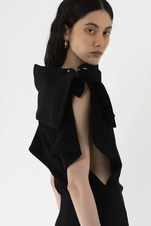 Arakii Sculptural Asymmetrical Collar Pin Dress
