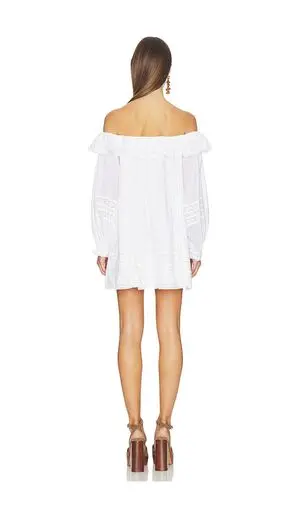 Show Me Your Mumu Meadow Mini Dress