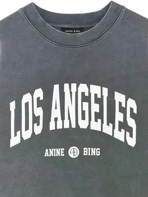 ANINE BING Los Angeles University Washed Sweatshirt - Grey