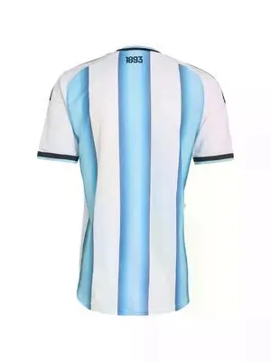 Adidas Argentina 26 Striped T-shirt