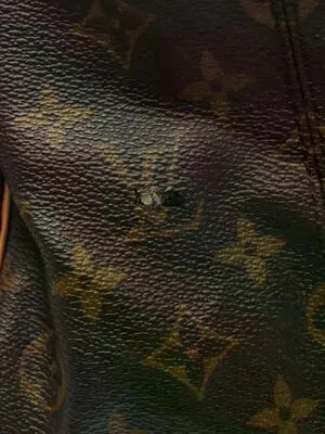 LOUIS VUITTON 2009 Monogram Irene Tote Bag - Brown
