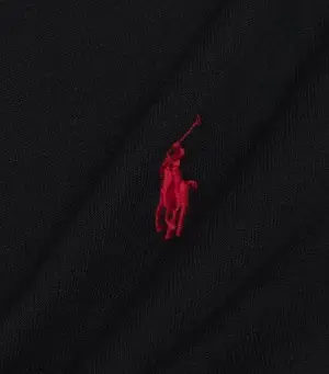 Polo Ralph Lauren Double-knit Logo Hoodie