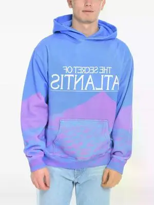 MSFTS Logo Print Hoodie