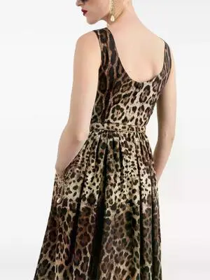 Dolce & Gabbana Leo-print Cotton Poplin Dress