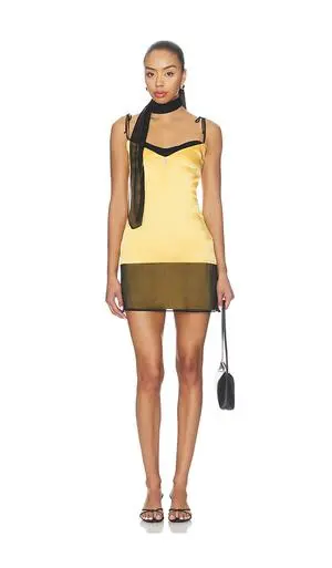 BUCI Chinchilla Mini Dress In . Also - Yellow