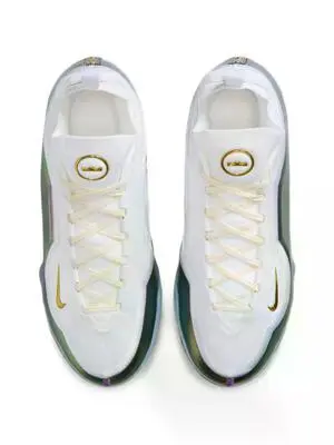 Nike Lebron Xxiii Elite For The Record Sneakers