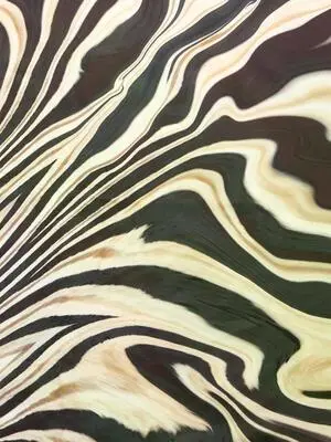Roberto Cavalli Marble-print Scarf