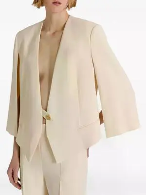 Alberta Ferretti V-neck Single-breasted Blazer