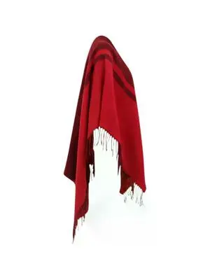 Maje Fringed Shawl
