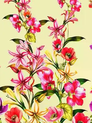 Charo Ruiz Ibiza Solara Floral-print Midi Dress
