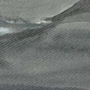Max Mara Silk Printed Square Scarf