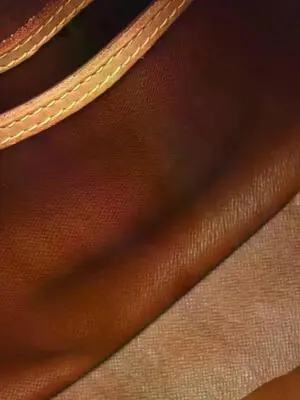 LOUIS VUITTON Monogram Blois Crossbody Bag
