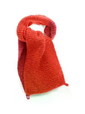 DANIELA GREGIS Two-tone Scarf