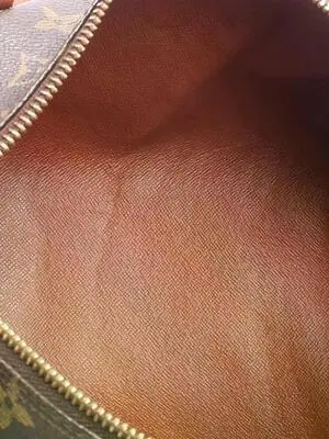 LOUIS VUITTON 2002 Monogram Papillon 26 Handbag